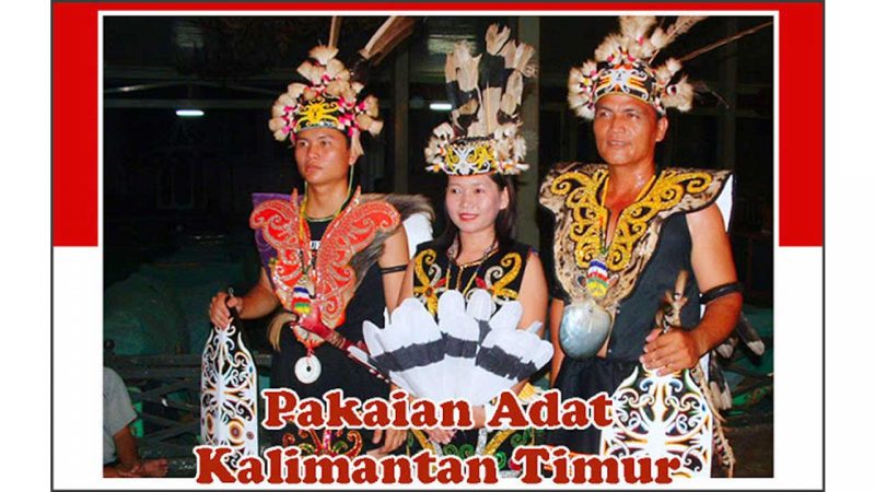 7+ Pakaian Adat Kalimantan Timur Penjelasan dan Gambarnya {Lengkap}
